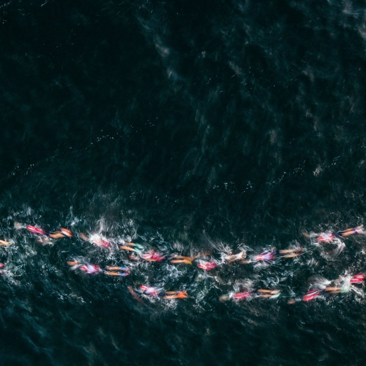 About ARK (new) – ARK Sports